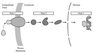 Untitled 1 [local-brookings.k12.sd.us]